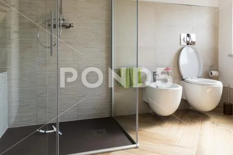 Close up of Bidet and wc in the bathroom ~ Hi Res #80791183