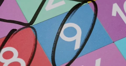 Bingo Card Stock Video Footage | Royalty Free Bingo Card Videos | Pond5