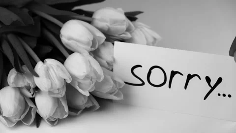 Apology Card Stock Videos – Royalty-Free HD & 4K Videos | Pond5