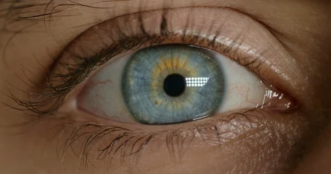 close up blue eye opening blinking natur... | Stock Video | Pond5