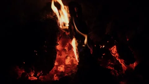 Close-up of bonfire in the night. | Stock Video | Pond5