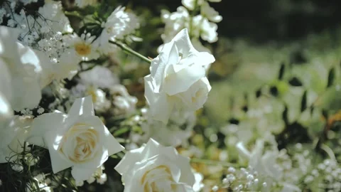 Close-up bouquet of of fresh white roses... | Stock Video | Pond5