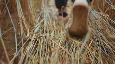 Girls Trampling Boy Stock Videos – Royalty-Free HD & 4K Videos | Pond5