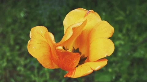 Open F) 3 File Stock Videos – Royalty-Free HD & 4K Videos | Pond5