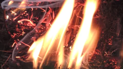 close up bush wildfire glowing red fire... | Stock Video | Pond5