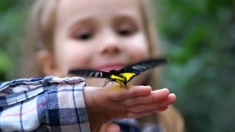 On Freedoms Wings Stock Videos – Royalty-Free HD & 4K Videos | Page 2