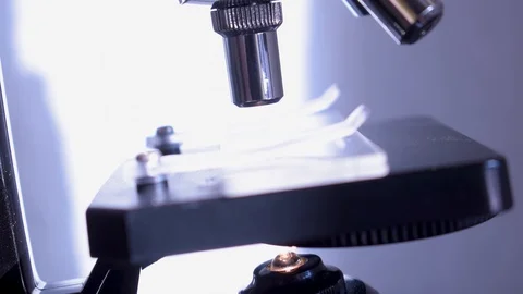Close up of calibrating a microscope. | Stock Video | Pond5