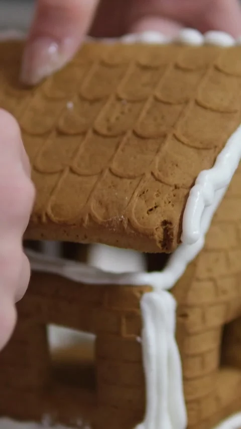 House Staring Stock Videos – Royalty-Free HD & 4K Videos