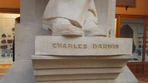 Close up of Charles Darwin sign under a ... | Stock Video | Pond5