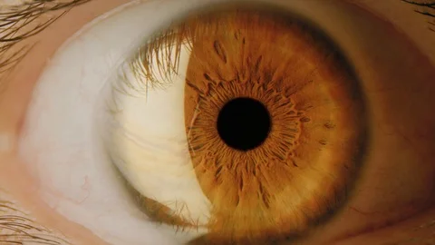 Eye Close Up Moving Stock Video Footage | Royalty Free Eye Close Up ...