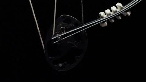 Compound Bow Stock Video Footage | Royalty Free Compound Bow Videos | Pond5