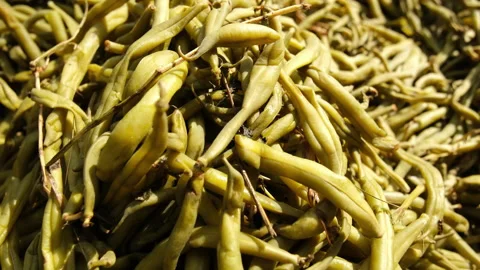 Low Quality Stock Video Footage | Royalty Free Low Quality Videos | Pond5