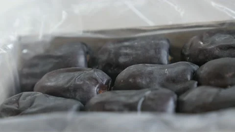 Close-up of date palm in opened box | Stock Video | Pond5