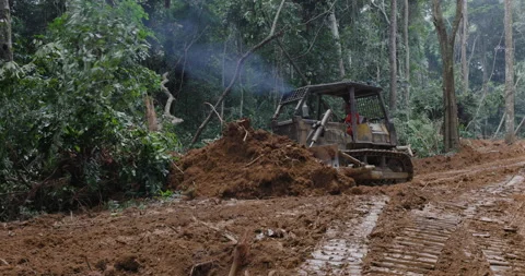 Bulldozer Rainforest Stock Video Footage | Royalty Free Bulldozer ...