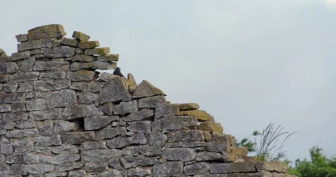 close up of a derelict stone Gable end o... | Stock Video | Pond5