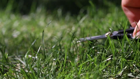 Close-up detail view of man hand cutting... | Stock Video | Pond5