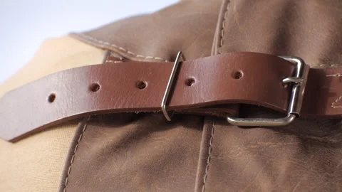 Close Up details, escape artist in Strai... | Stock Video | Pond5