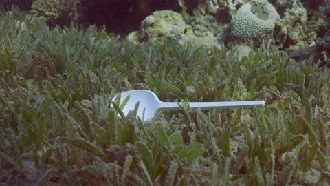 Close-up of disposable plastic spoon lie... | Stock Video | Pond5