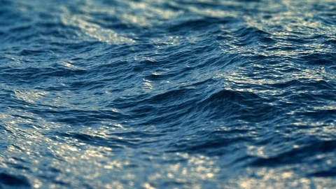 Disturbed Stock Footage ~ Royalty Free Stock Videos | Pond5