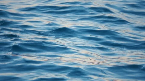 Disturbed Stock Footage ~ Royalty Free Stock Videos | Pond5