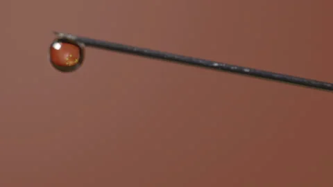 Chinese Of Drop Stock Videos – Royalty-Free HD & 4K Videos