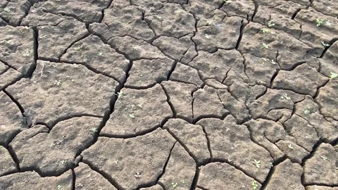 Close up of dry cracked soil dirt during... | Stock Video | Pond5