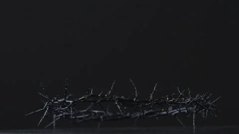 Close up of Eerie Black Crown of Thorns ... | Stock Video | Pond5