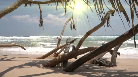 Wind N Se Stock Videos – Royalty-Free HD & 4K Videos