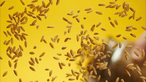 Close-up of falling down barley on glass... | Stock Video | Pond5