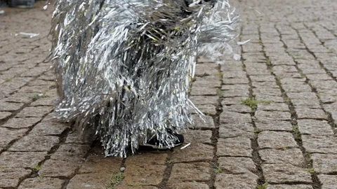 Show Feet Live Stock Footage ~ Royalty Free Stock Videos | Pond5