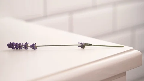 Sweet No Nude Stock Videos – Royalty-Free HD & 4K Videos