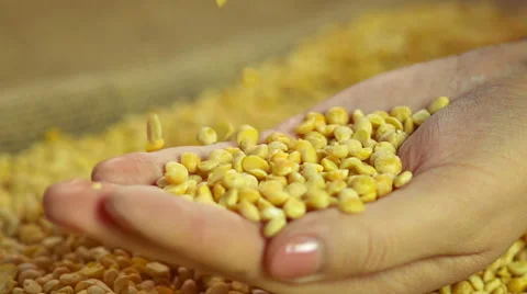 Female Split Stock Videos – Royalty-Free HD & 4K Videos | Page 5