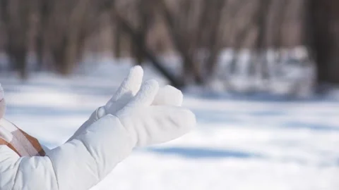 Trees Clapping Stock Video Footage | Royalty Free Trees Clapping Videos ...