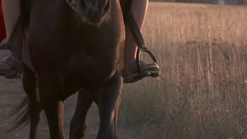 Close-up of female rider in saddle and h... | Stock Video | Pond5
