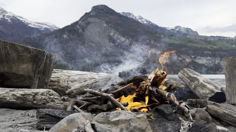 Close-up of fire, smoke and ashes. Trees... | Stock Video | Pond5