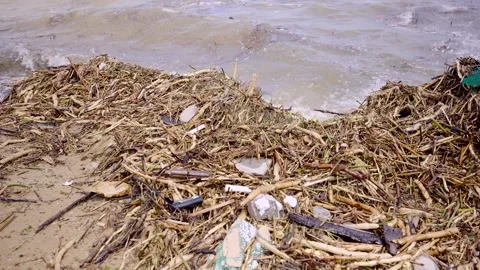 Close-up, Floating debris has reached Bl... | Stock Video | Pond5