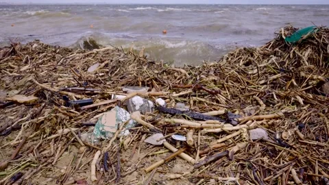 Close-up, Floating debris has reached Bl... | Stock Video | Pond5