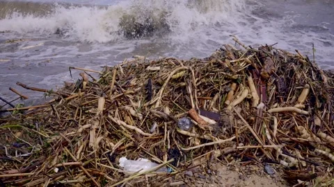 Close-up, Floating debris has reached th... | Stock Video | Pond5