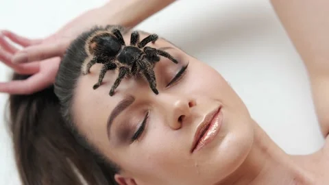 Sexy Spider Girls Stock Footage ~ Royalty Free Stock Videos | Pond5