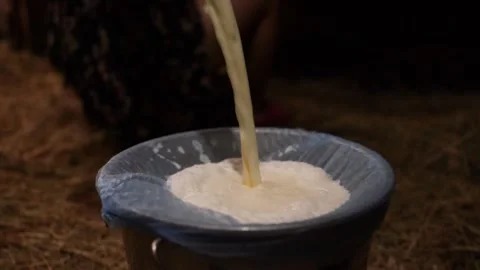 Close up of fresh cow's milk pouring int... | Stock Video | Pond5