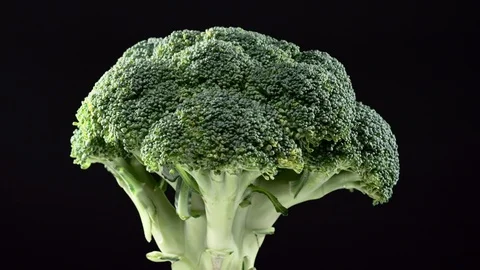 Close up of fresh raw broccoli rotating ... | Stock Video | Pond5