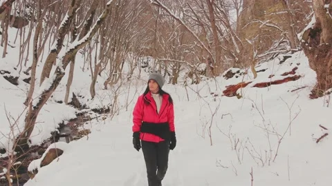 F14C Front View Stock Videos – Royalty-Free HD & 4K Videos | Pond5