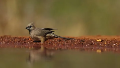 Full Body Shots Stock Videos – Royalty-Free HD & 4K Videos