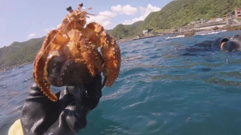 Big Stick Figure Stock Footage ~ Royalty Free Stock Videos | Pond5