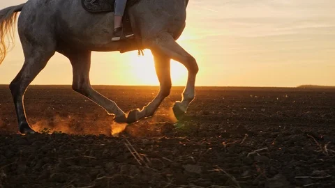 Horse Girl\ Stock Videos – Royalty-Free HD & 4K Videos | Pond5