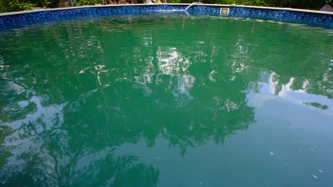 Close up of green dirty stinky water in ... | Stock Video | Pond5