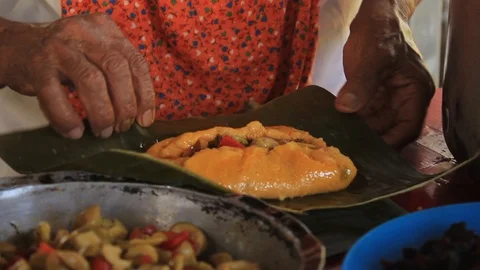 Latina For Stock Videos – Royalty-Free HD & 4K Videos