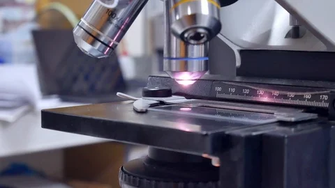 Close up hand scientist using light micr... | Stock Video | Pond5