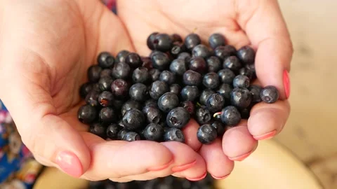 Female Col Stock Videos – Royalty-Free HD & 4K Videos | Pond5