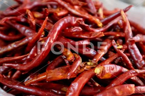 Close up heap of fresh dry red peppers ( dried chilli ) under natural ...